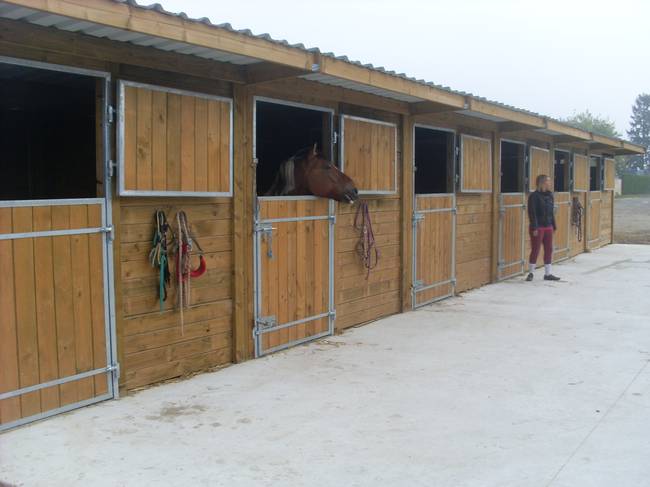 Boxes-caballos.es: el experto de los boxes y cobertizos para caballos